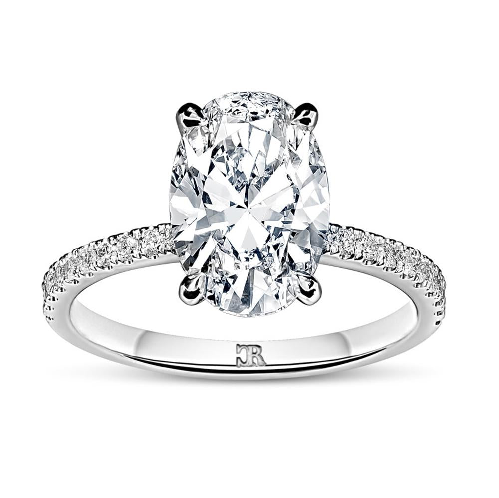 Alice - Charles Rose